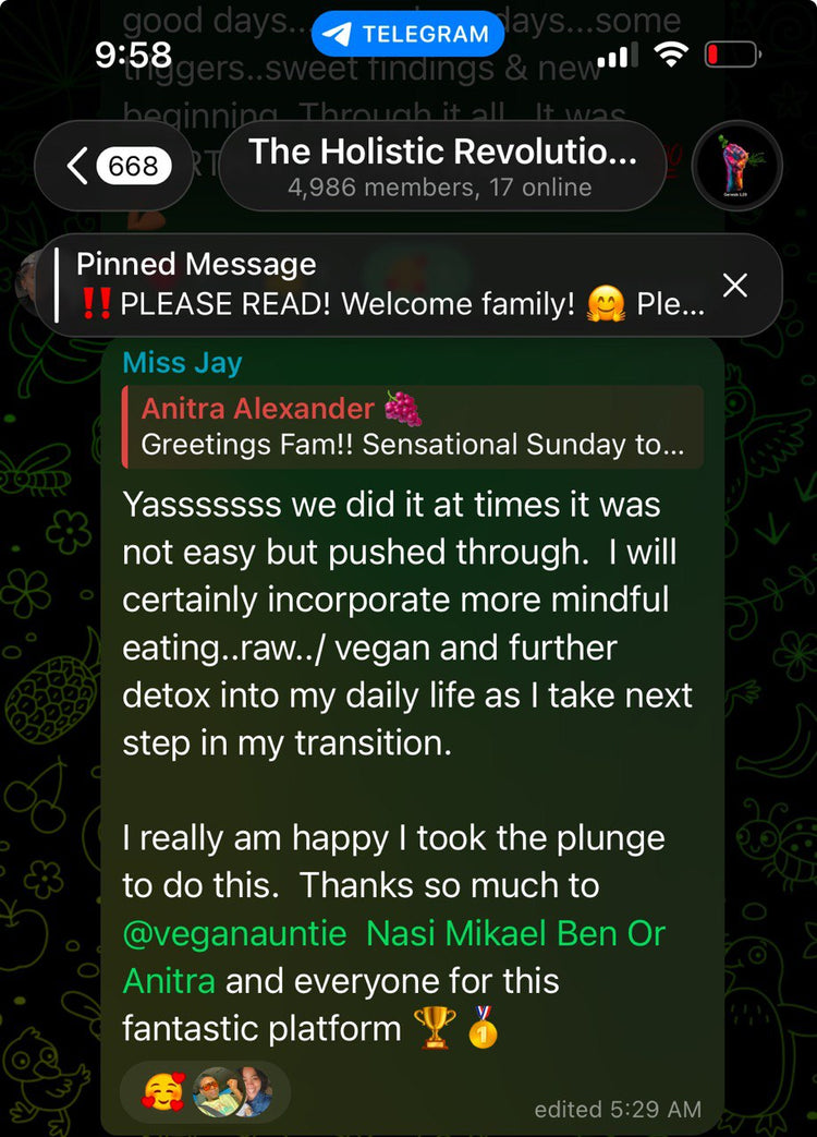 12-Week Godbody Meal Plan – Vegan Auntie